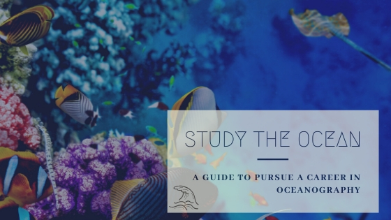 Comprehensive Guide: Career in Oceanography - iDreamCareer